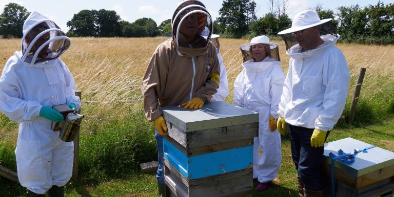 North Dorset Beekeepers